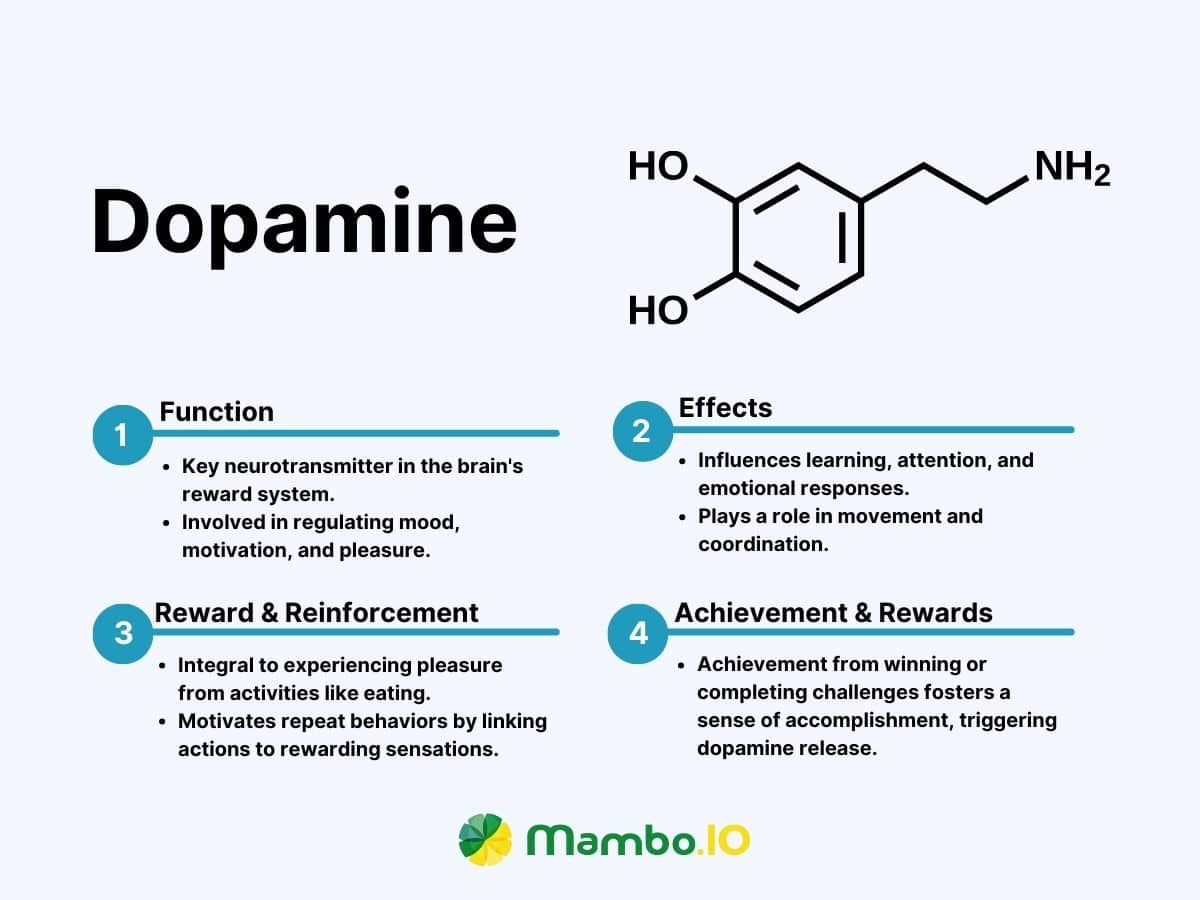 How Gamification in Apps Impacts Brain Performance